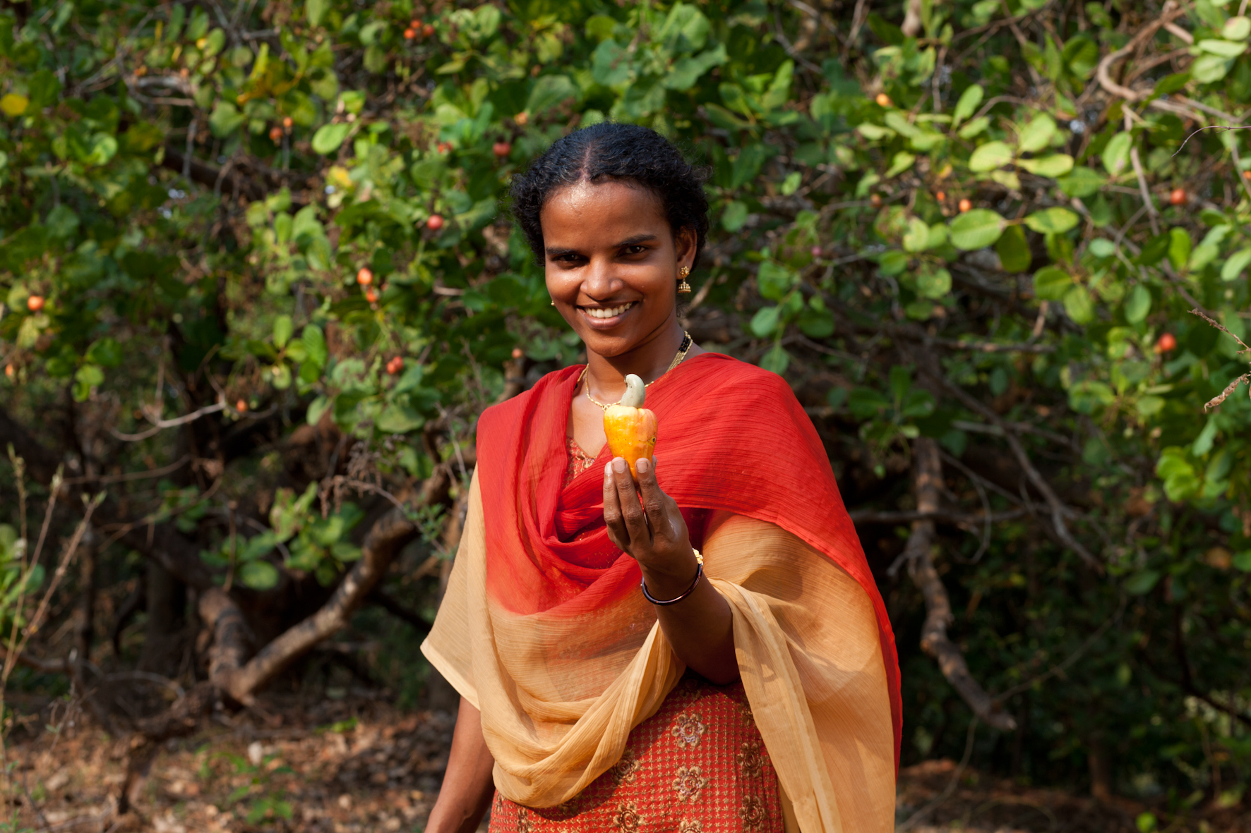 Pakka Cashew Lieferant: Fairtrade Alliance Kerala & ELEMENTS